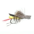 Fly Fishing Basics - Terrestrials Dry Fly Assortment - 10 Flies ...