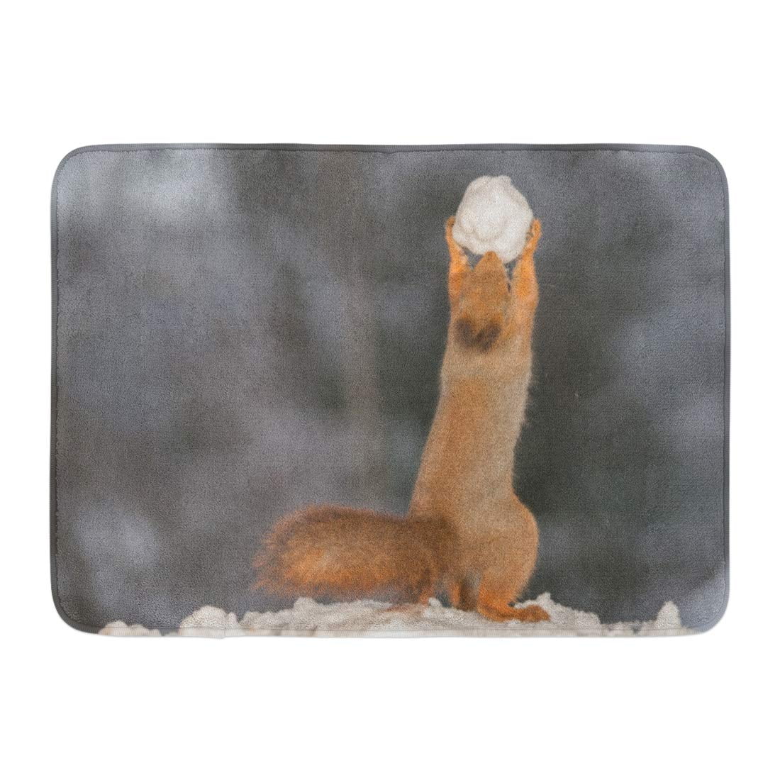 GODPOK Bright Animal Red Squirrel Standing in Snow with Snowball Back ...