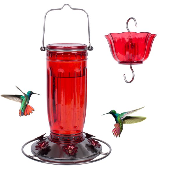 Glass Bird Feeders