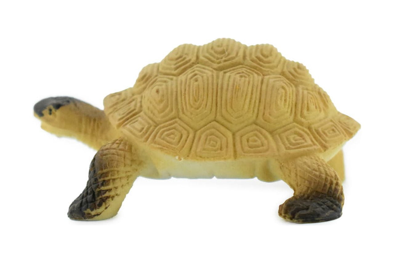 Tortoise, Galápagos tortoise, Turtle, Plastic Reptile, Educational ...