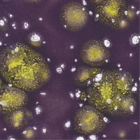 AMACO Crystaltex Glaze, Magnolia Jewel CTL-70, 1 Pint - Walmart.com