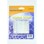 AmScope Microscope Stage Calibration Slide for USB Camera 0.01mm Stage ...