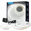10ft. LED Rope String Lights by Ashland™ - Walmart.com