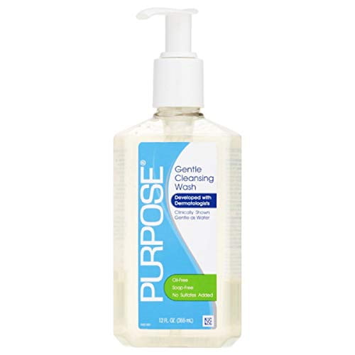 Click here for With A Purpose Purpose Gentle Cleansing Wash  12 O... prices
