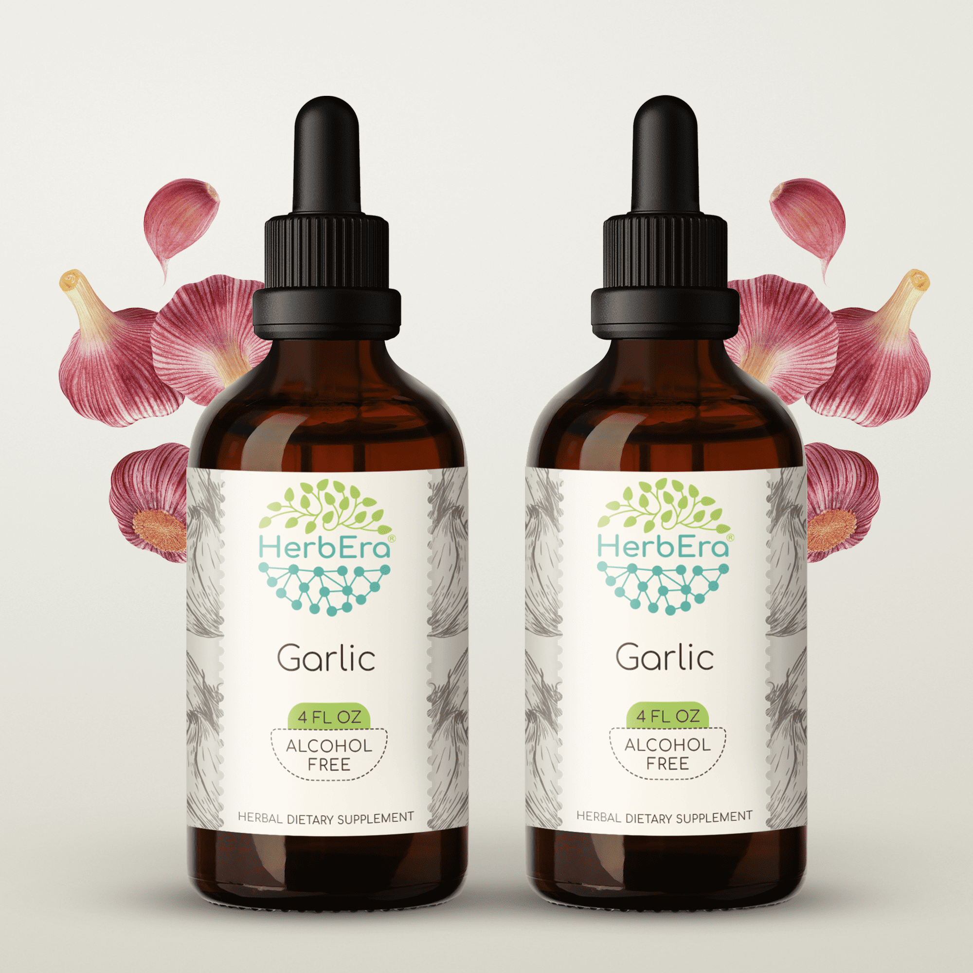 Garlic Alcohol-FREE Herbal Extract Tincture, Super-Concentrated Organic ...