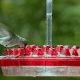 Hummingbird Feeder, Hummingbird Feeder, Hummingbird Feeders for ...