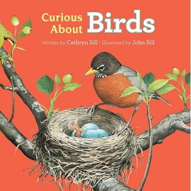 Birds (Board Book) - Walmart.com