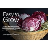Red Acre Cabbage Seeds - Walmart.com