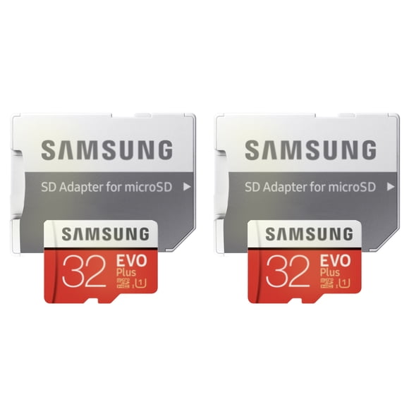 32GB SD Cards
