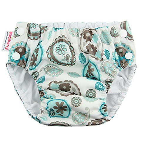 Blueberry Freestyle Swim Diapers (Paisley, Small (10-20 lb)) - Walmart.com