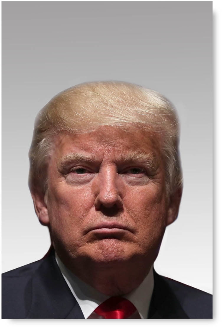 Awkward Styles Donald Trump Photo Poster Trump Fine Wall Art American ...