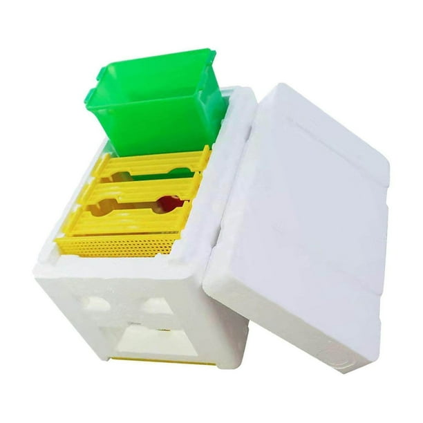 fastboy Bee Pollination Box Queen Bee Rearing System Hive Frames DIY ...