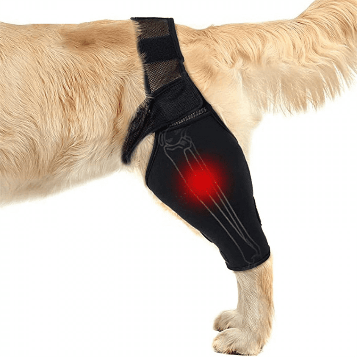Click here for Linsilin Dog Orthopedic Knee Brace For Cruciate Li... prices