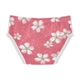 Cotton Triangle Briefs 2T-8Y, Comfortable Breathable Safety Standard ...
