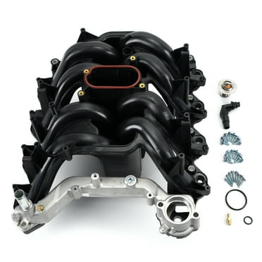 Skunk2 Pro Series 88-00 Honda D15/D16 SOHC Intake Manifold (Race Only ...