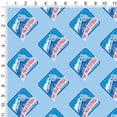 The Polar Express All Aboard Premium Roll Gift Wrap Wrapping Paper ...