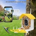 Bird Feeder with Camera, Birds AI Identify, Motion Detection with Real ...