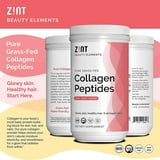 Zint Collagen Peptides Supplement Powder, Paleo-Friendly, Types 1 & 3 ...