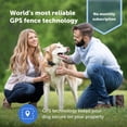 PetSafe Guardian GPS Connected Customizable Fence - Walmart.com