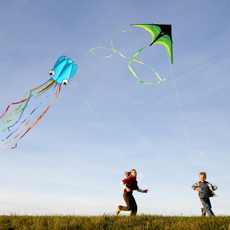 Families Flying Kites