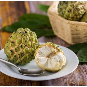 Red Cherimoya (custard apple) TREE GRAFTED. Ships free to all states in ...