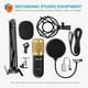 ZINGYOU BM800 Condenser Microphone Bundle Mic Kit for Studio Recording & Brocasting - Walmart.com