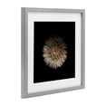 Stupell Industries Wispy Dandelion on Black Gray Framed Print Under ...