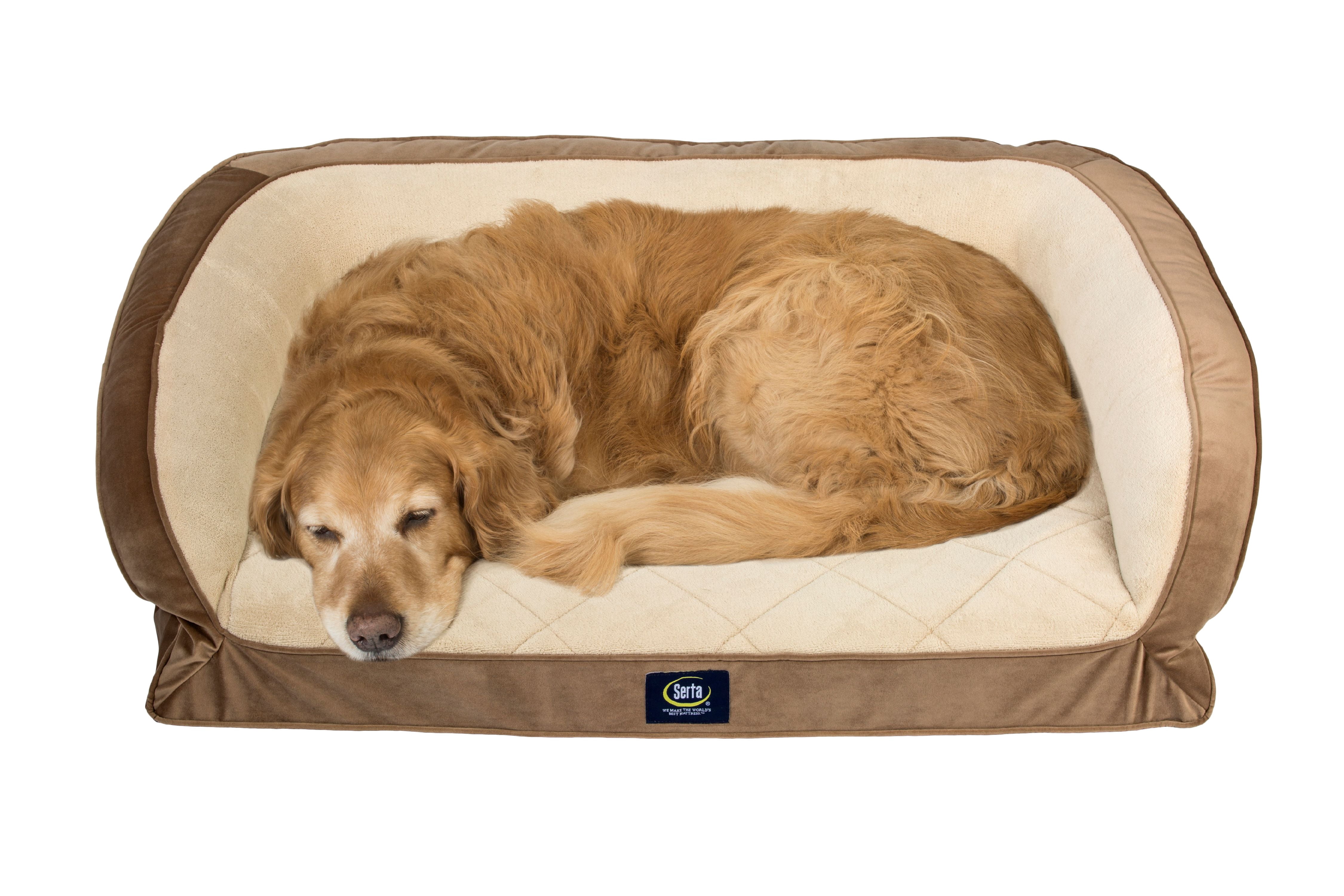 Serta Orthopedic Memory Foam Couch Pet Dog Bed Large Color May Vary Serta Orthopedic Memory Foam Couch Pet Dog Bed Large Color May Vary