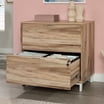 Sauder Office Whitaker Point Engineered Wood 2-Drawer Lateral File in ...