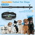 Dog Shock Collar-Training Collar with Remote IP68 Waterproof for Small ...