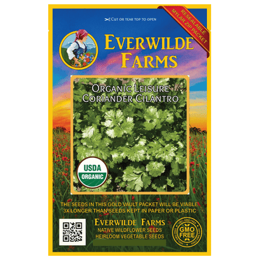 Slow Bolt Cilantro Herb Garden Seeds - 3 Gram Packet - Non-GMO ...