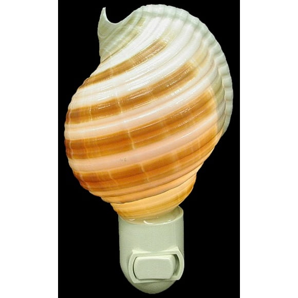Seashell Night Light