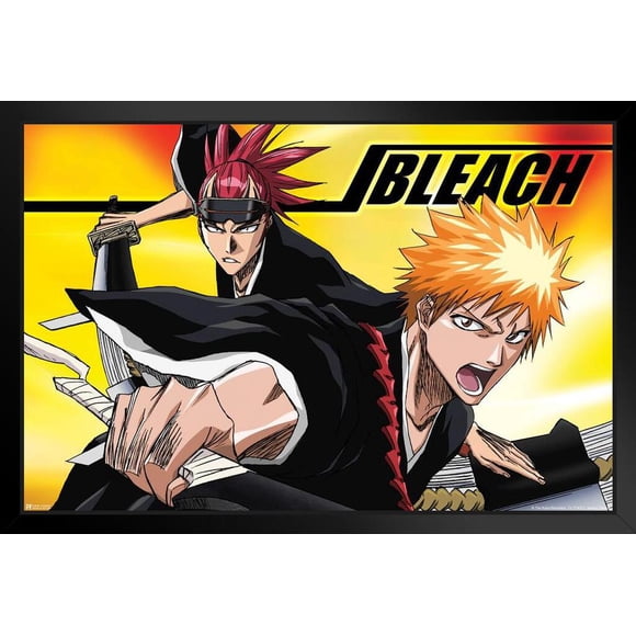 Bleach Anime Poster