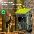 SuntekCam 2 Pack Solar Powered 50MP 4K Game Camera, Waterproof with ...