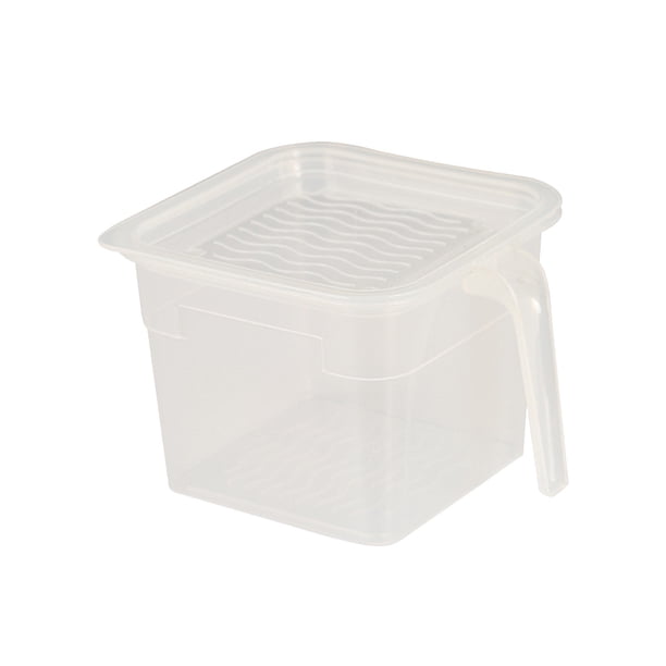 XZNGL Clear Plastic Storage Bins with Lids Small, Plastic Transparent ...