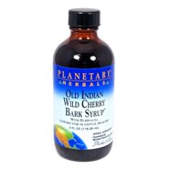 Planetary Herbals Loquat Respiratory Syrup, 4 Fl Oz - Walmart.com