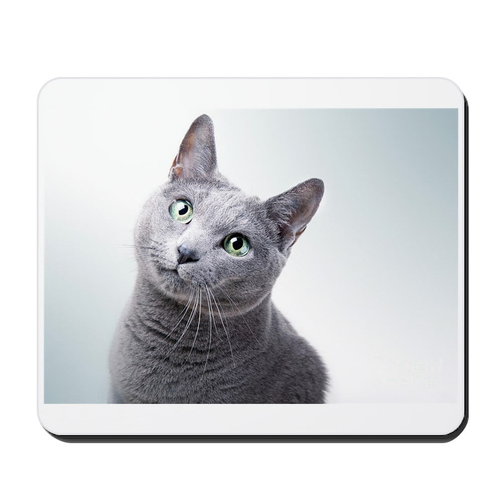 CafePress - Russian Blue Cat Mousepad - Non-slip Rubber Mousepad ...