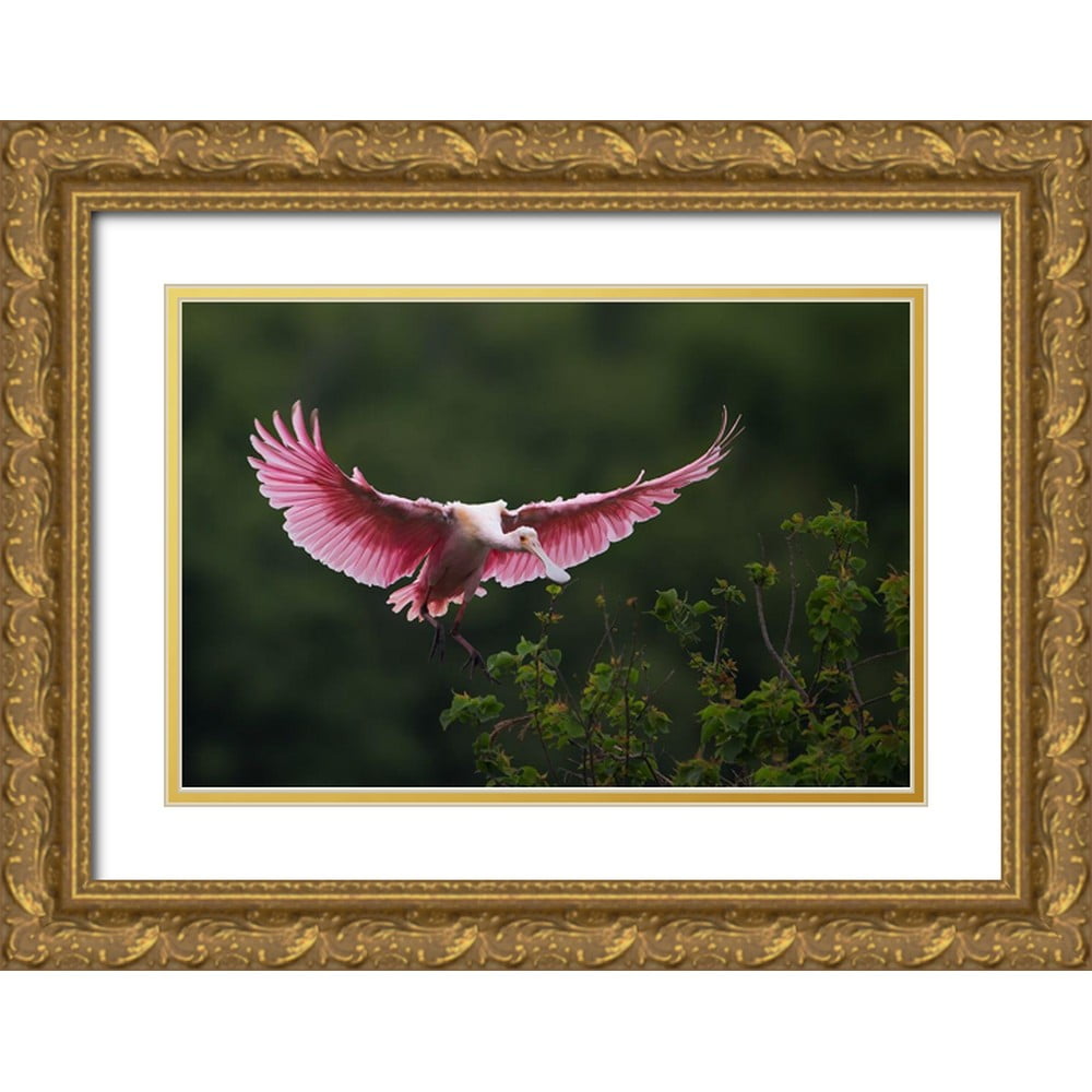 Chang, Phillip 32x23 Gold Ornate Wood Framed with Double Matting Museum ...