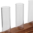 Indoor Plant Pots Vase Flower Buds Propagation Tubes Hanging - Walmart.com