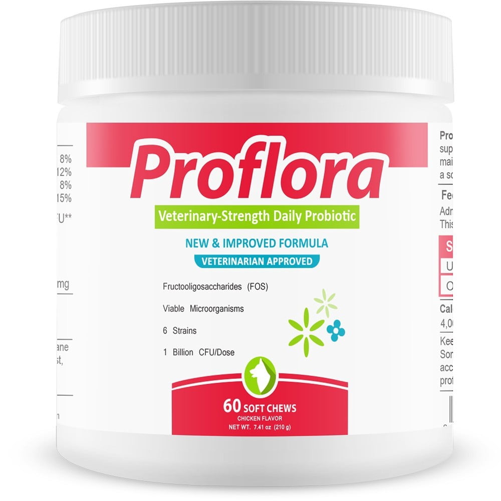 Proflora Probiotic Soft Chews (60 Count Bag) - Walmart.com - Walmart.com