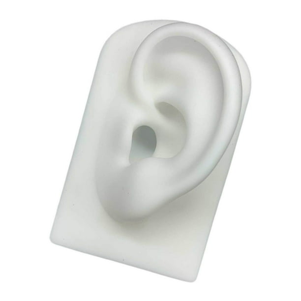 Silicone Soft Ear Model Teaching Tool Display Props modeling mold White ...