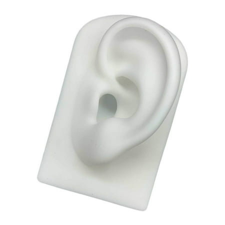 Silicone Soft Ear Model Teaching Tool part ear soft silicone Display ...