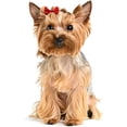 Clip in Dog Bows Puppy Dog Hair Bows Bowknot Handmade Pet Hair ...