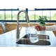 Moen 7882 Genta Lx Pull-Down Spray Kitchen Faucet - Chrome - Walmart.com