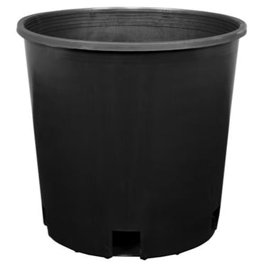 Pro Cal 3 Gallon Premium Nursery Black Plastic Planter Garden Grow Pots ...
