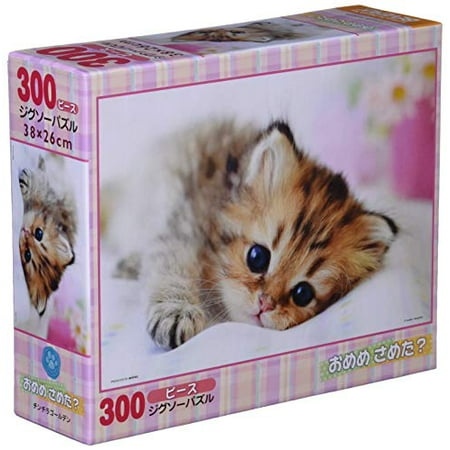 300 pieces Jigsaw puzzle Congratulations Wake up (26 x 38 cm) | Walmart ...