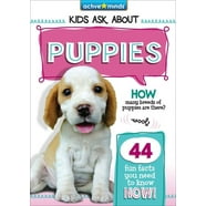 Stanley the Dog: The First Day of School (Hardcover) - Walmart.com