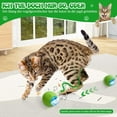 Interactive Cat Toys for Indoor Cats - Interactive Puppy Toys Ball with ...