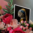 3drose, American Shorthair Cat with Pearl Earring Golden Age Painting ...