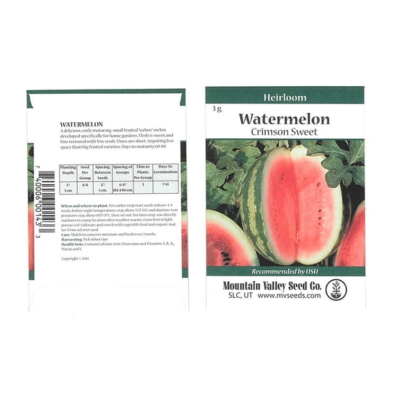 Watermelon Garden Seeds - Shiny Boy Hybrid (Treated) - 100 Seeds - Non ...